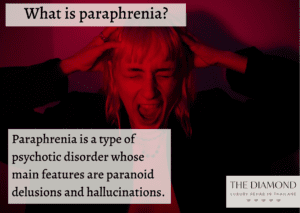 Paraphrenia: definition, causes, symptoms, and treatments - The Diamond ...