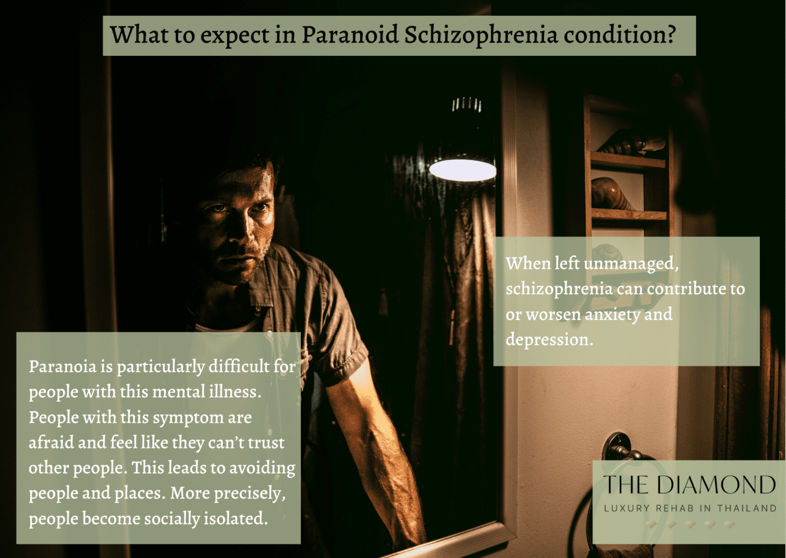 Paranoid Schizophrenia: definition, symptoms, treatments - The Diamond ...