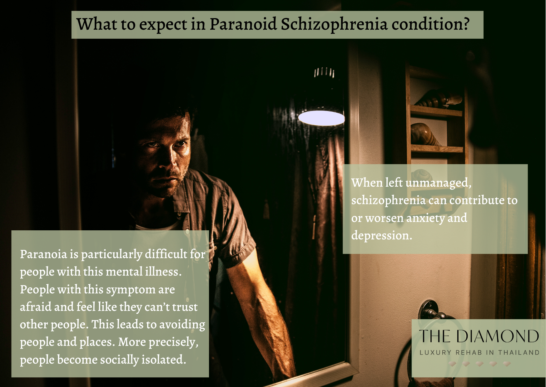 Paranoid Schizophrenia: definition, symptoms, treatments - The Diamond ...