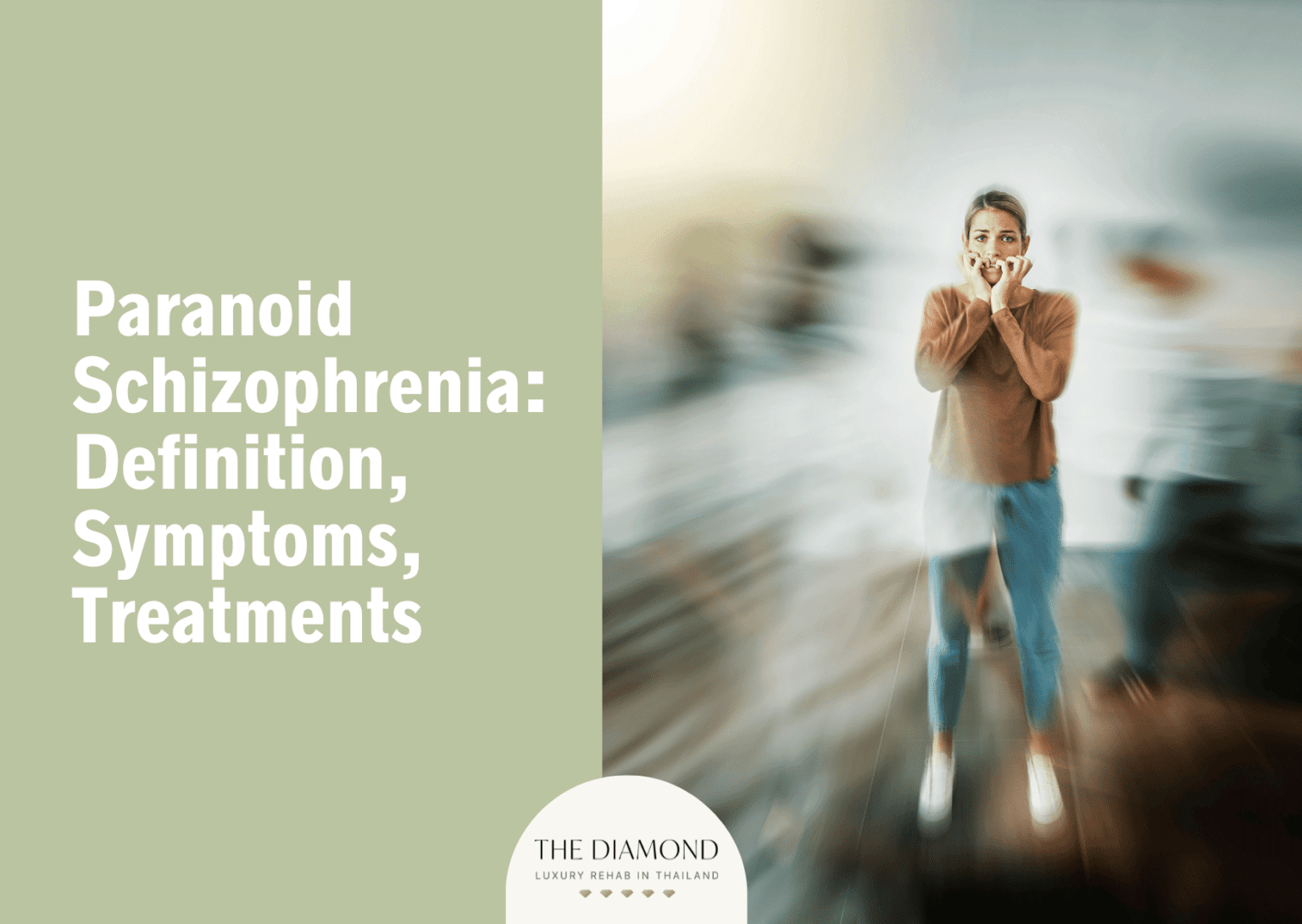 Paranoid schizophrenia: definition, symptoms, treatments - The Diamond ...