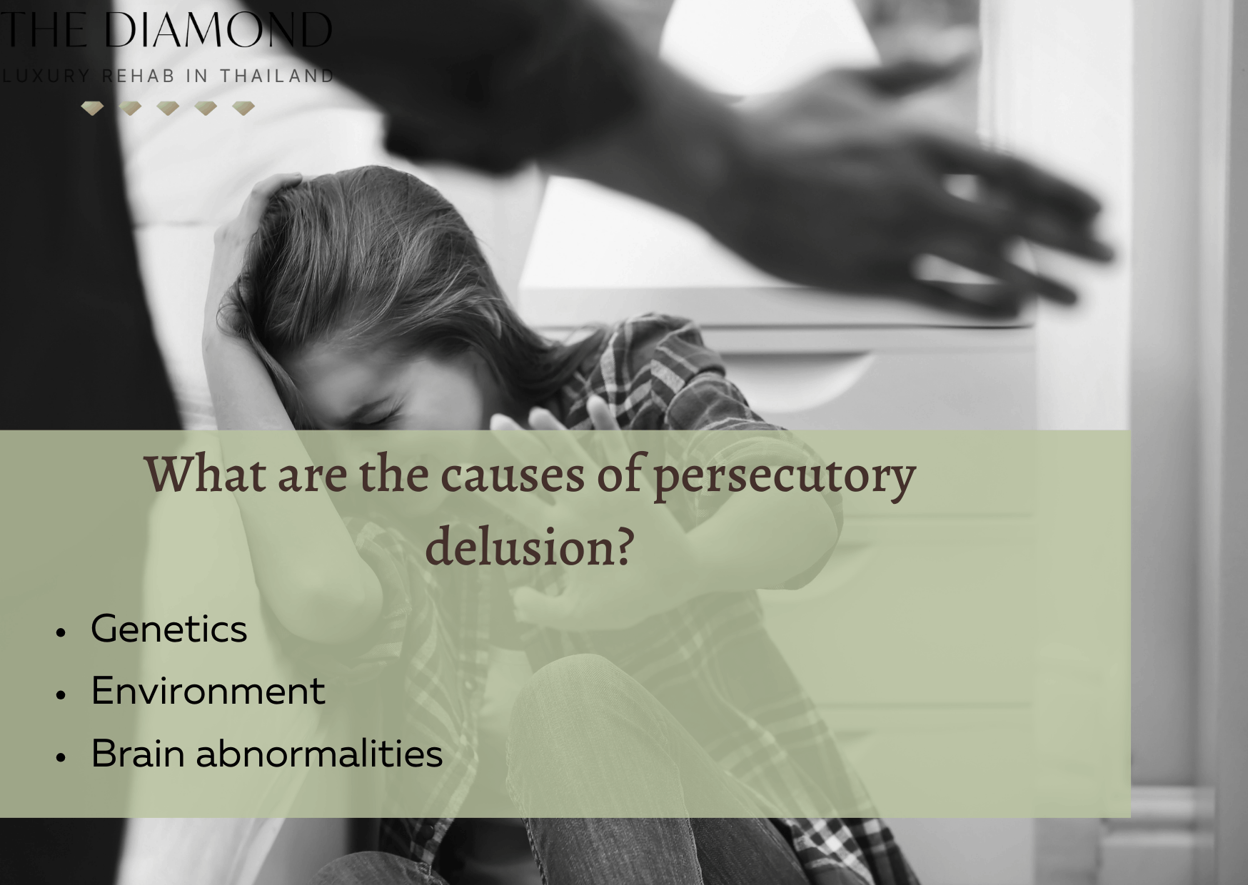 Persecutory delusion: definition, causes, symptoms, and treatments ...