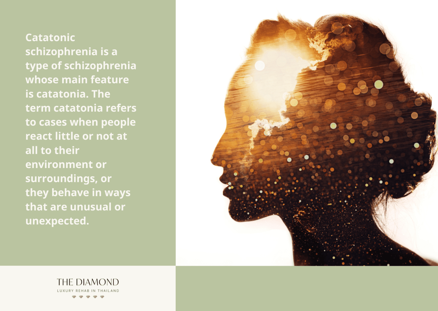 8 types of schizophrenia and their differences - The Diamond Rehab Thailand