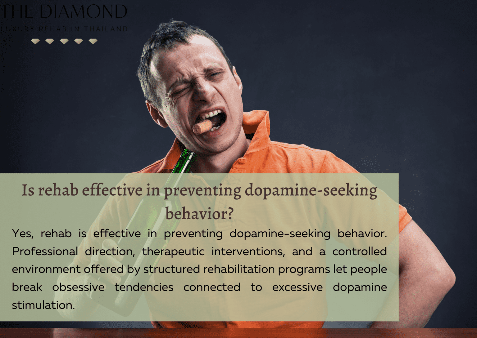 Dopamine addiction: can you be addicted, role, and dopamine-seeking ...