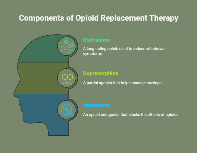 Opioid replacement therapy: definition, drugs, and effectivity - The ...