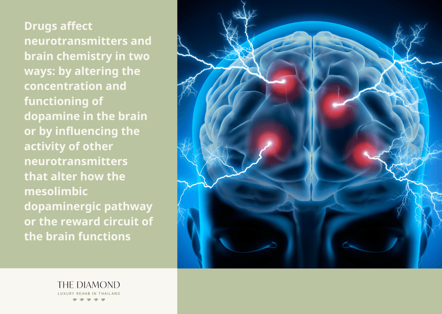 How do drugs impact the brain: effects and role in addiction - The Diamond Rehab Thailand