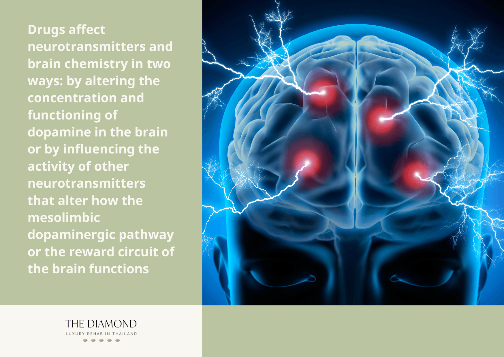 How do drugs impact the brain: effects and role in addiction - The ...