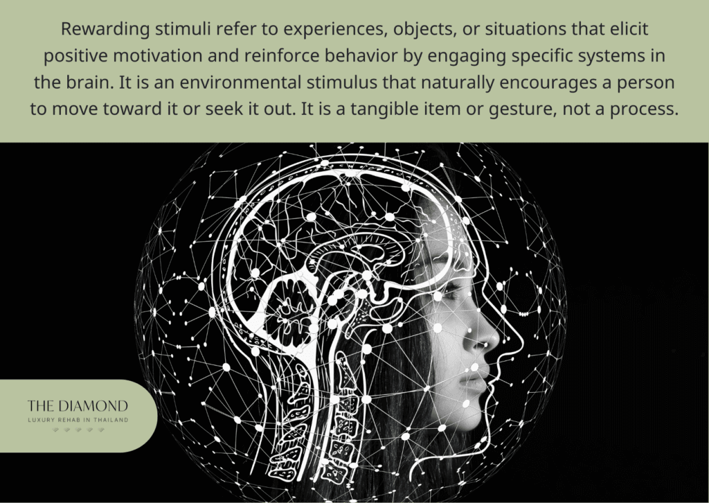 Reward system and addiction - The Diamond Rehab Thailand