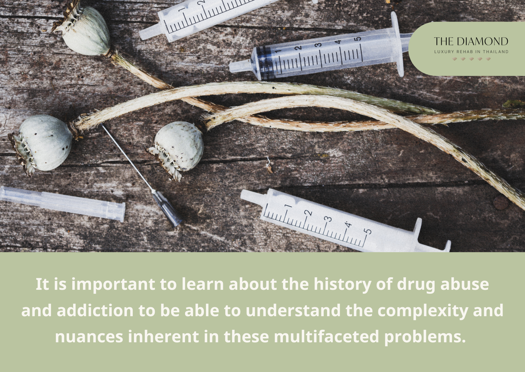 History of substance abuse and addiction: evolution, global spread, and ...
