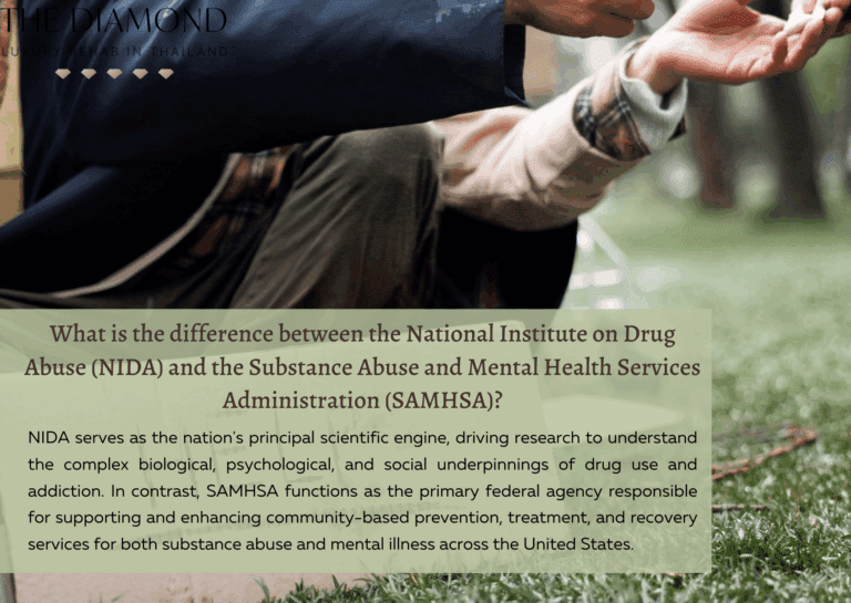 National Institute on Drug Abuse (NIDA): definition, history, mission, and role in addiction ...