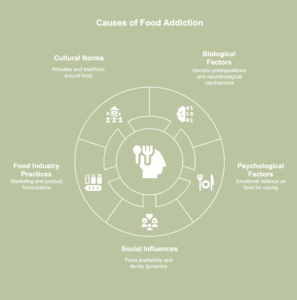 Food addiction: definition, symptoms, signs, causes, and treatment ...